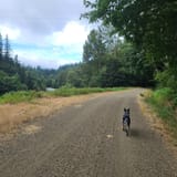 High Point Trail, Washington - 214 Reviews, Map | AllTrails