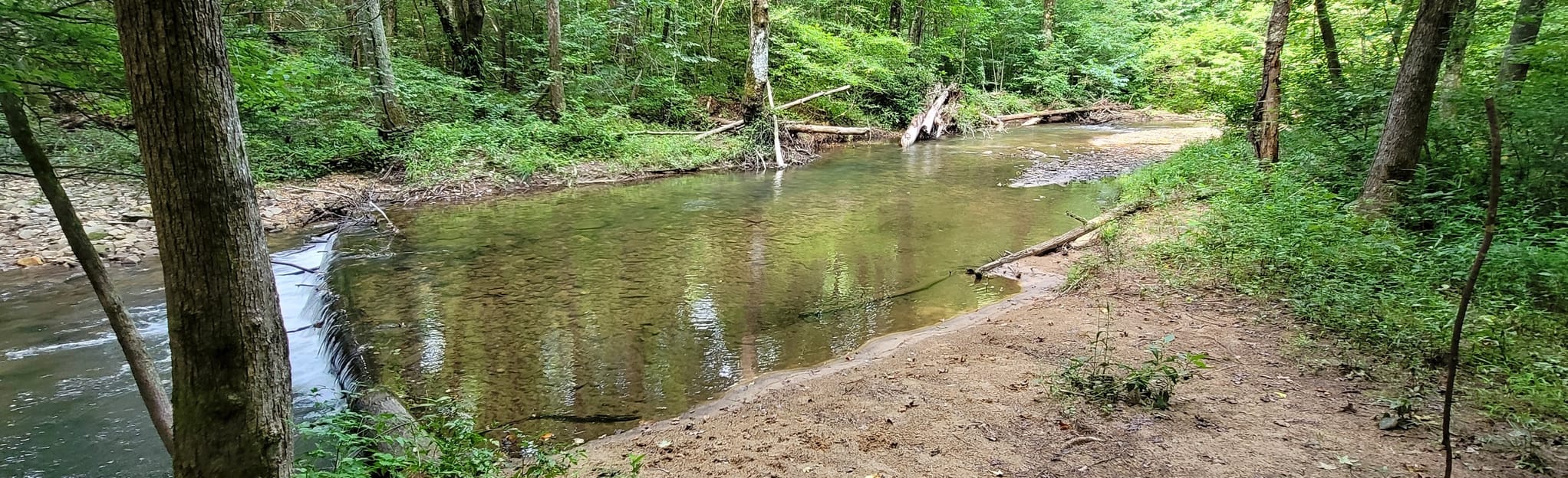 Wildcat Creek Trail to Fourth Falls on Fall Creek, Georgia - 573 ...