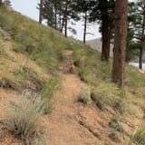 Cheesman Reservoir, Colorado - 95 Reviews, Map | AllTrails