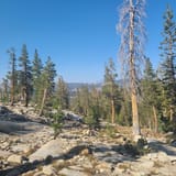 Lillian Lake Trail from Fernandez Trailhead, California - 146 Reviews ...