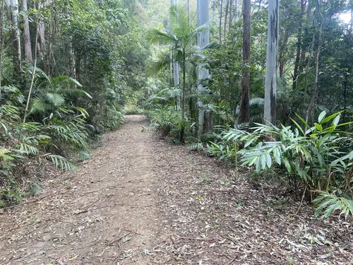 Best Hikes and Trails in Mooball National Park | AllTrails
