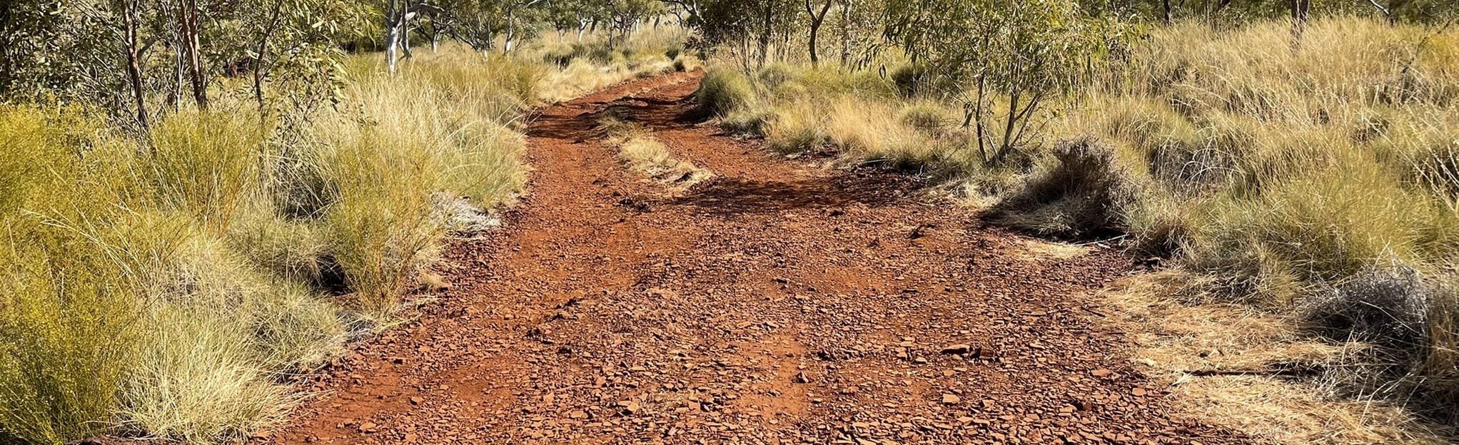 Albert Tognolini Campground Walk - Western Australia, Australia | AllTrails