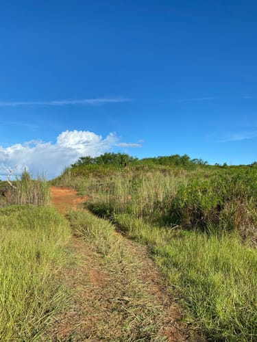 Best 10 Trails and Hikes in Guam | AllTrails