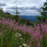 Tarbell Trail Hidden Falls , Washington - 110 Reviews, Map | AllTrails