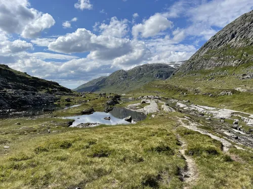 2023 Best Views Trails in Naustdal | AllTrails