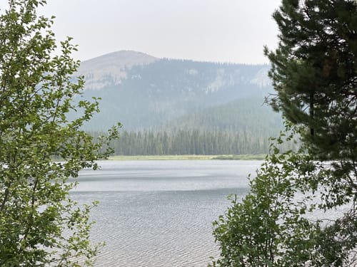 2023 Best 10 Forest Trails in Meredith | AllTrails