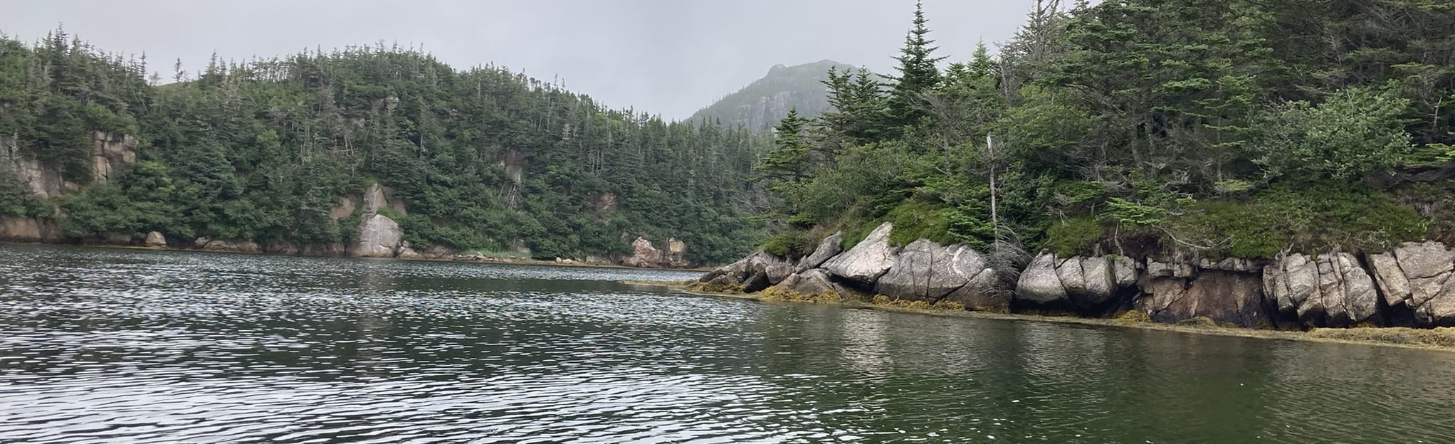 Burgeo Islands Paddle, Newfoundland and Labrador, Canada - 2 Reviews ...