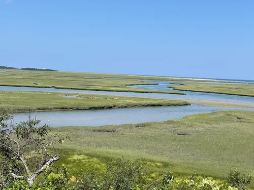 Best 10 Hikes and Trails in Cape Cod National Seashore | AllTrails