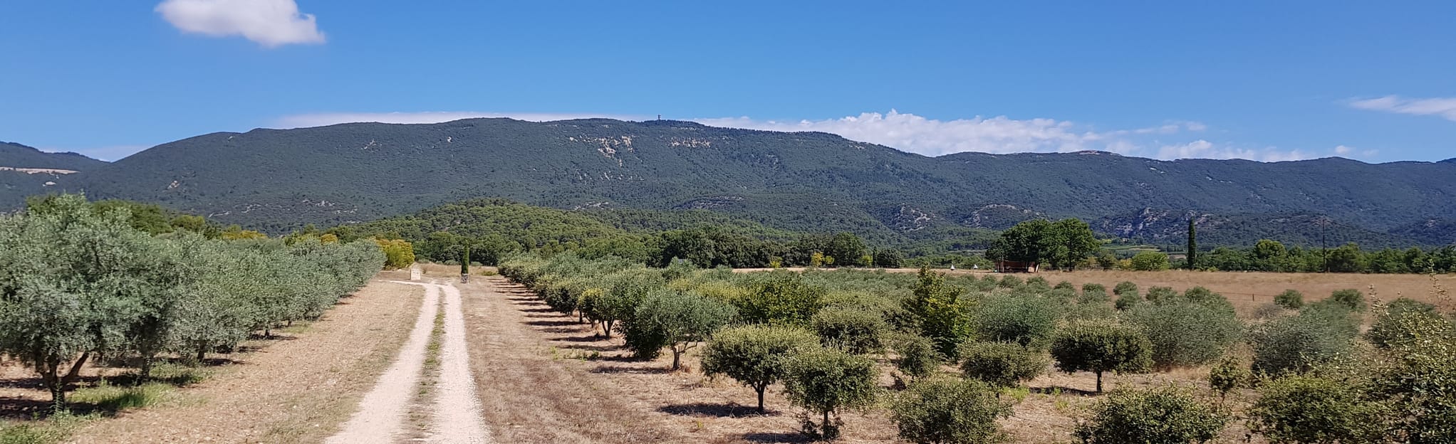Villages of the Luberon | Map, Guide - Vaucluse, France | AllTrails