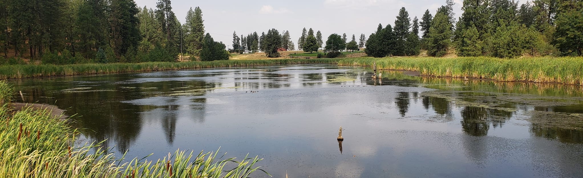 Medical Lake Loop, Washington - 215 Reviews, Map | AllTrails