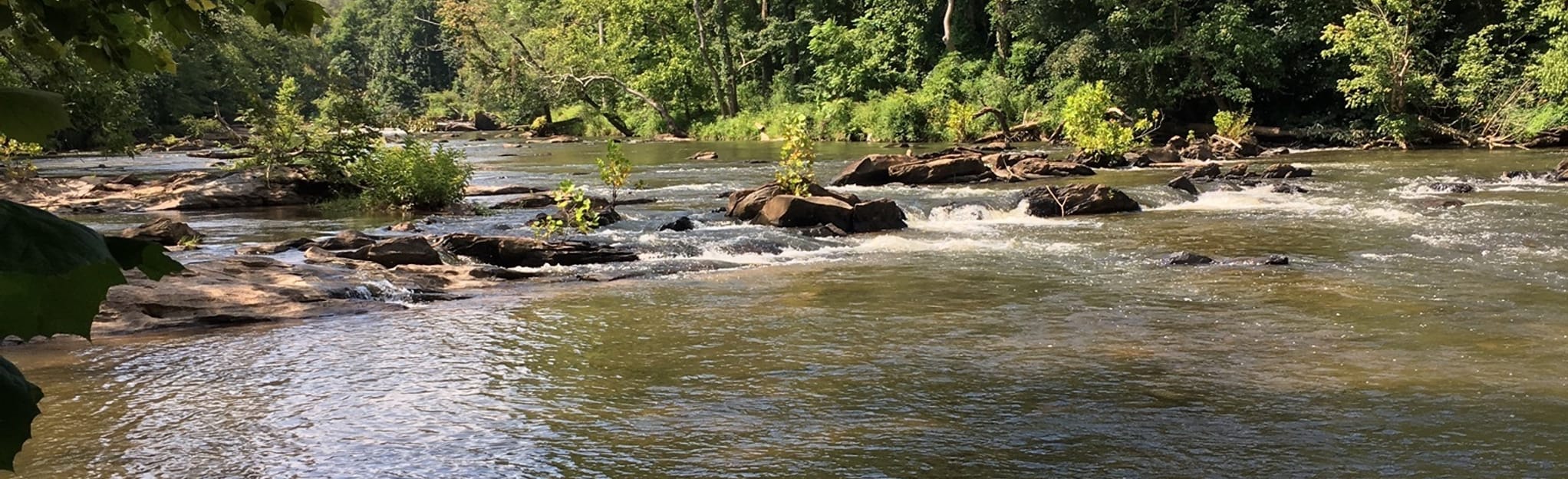 Deep River Nature Trail, North Carolina - 105 Reviews, Map | AllTrails