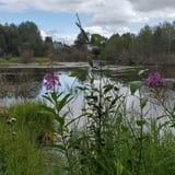 Cremona Nature Trail, Alberta, Canada - 14 Reviews, Map | AllTrails