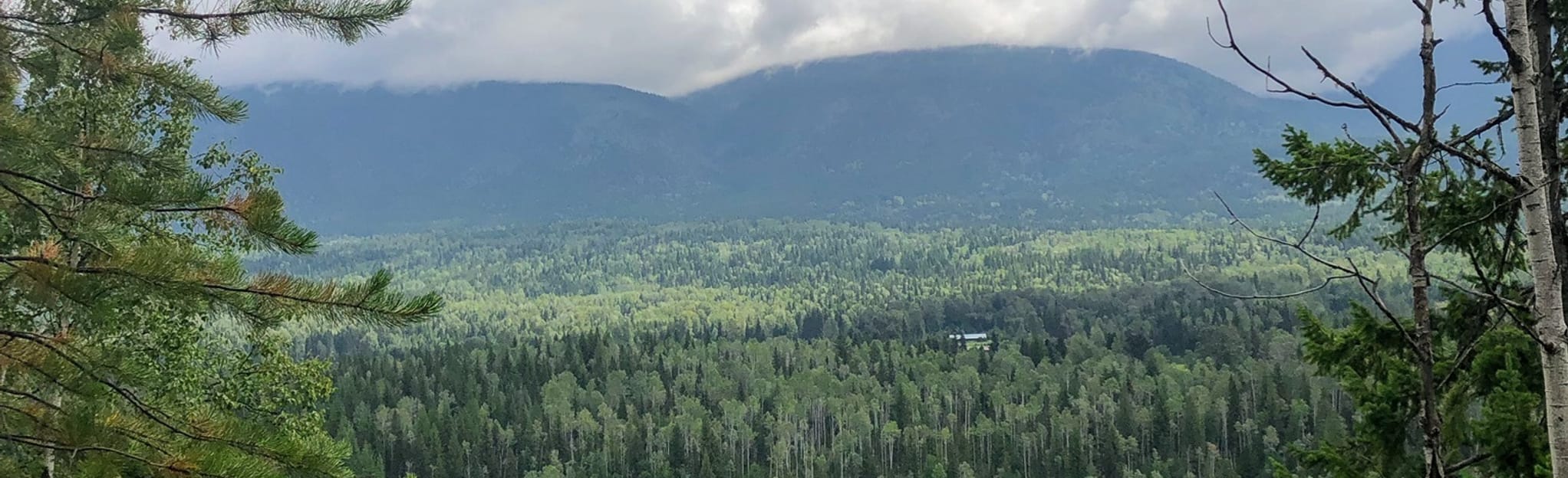 Flat Iron Trail, British Columbia, Canada - 10 Reviews, Map | AllTrails