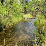 Lost Lake Nature Trail, California - 159 Reviews, Map | AllTrails