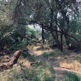 Lost Lake Nature Trail, California - 159 Reviews, Map | AllTrails