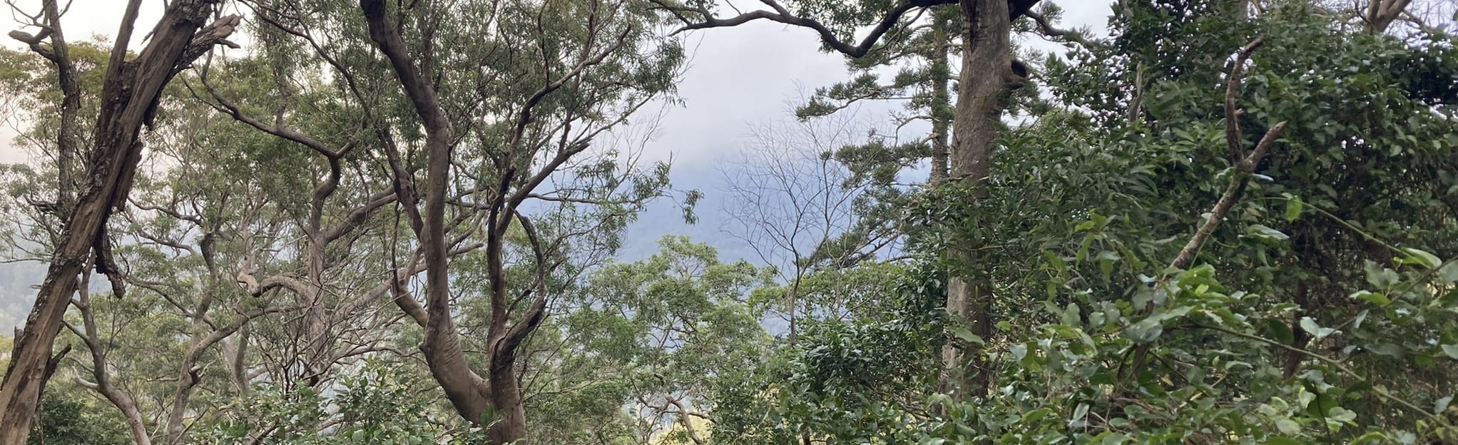 Mount Woowoonga Biggenden, Queensland, Australia - 36 Reviews, Map ...