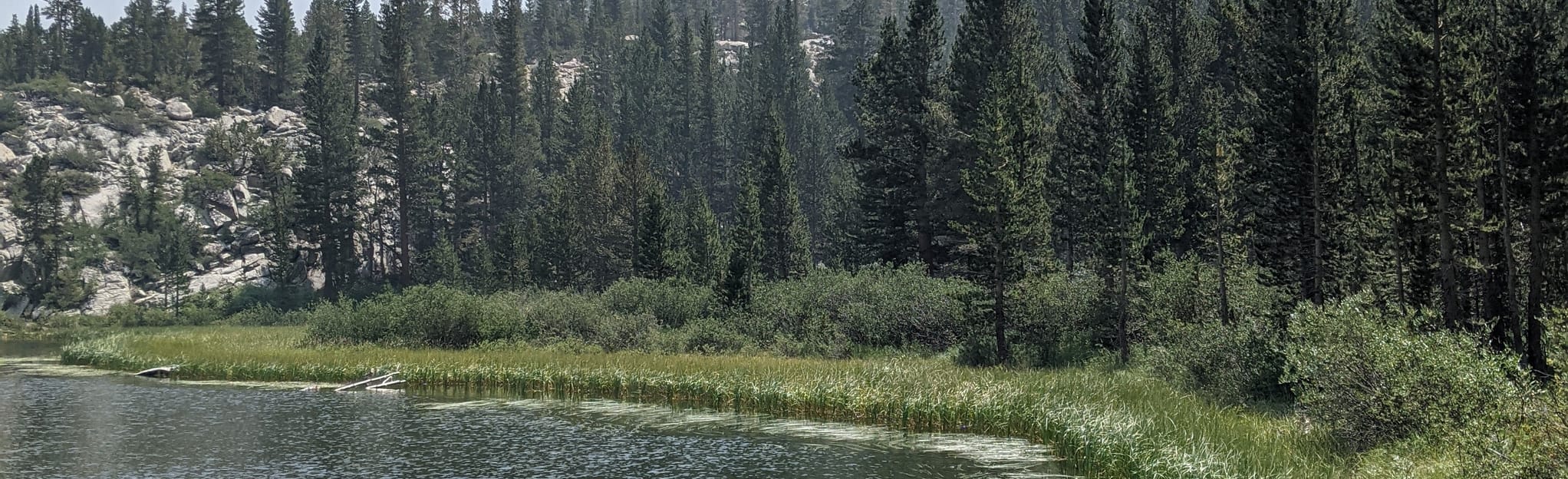 Tyee Lakes Trail, California - 185 Reviews, Map | AllTrails