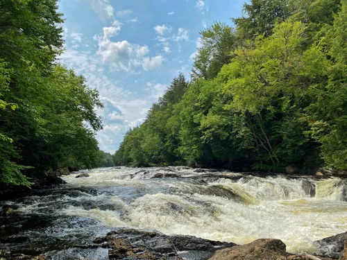 10 Best Trails and Hikes in Tupper Lake | AllTrails