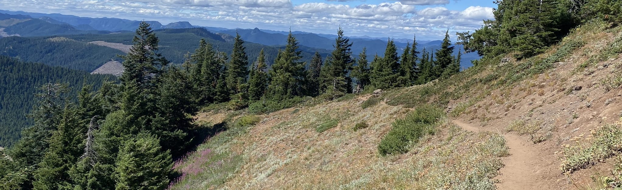 Iron Mountain Trail, Oregon - 502 Reviews, Map | AllTrails