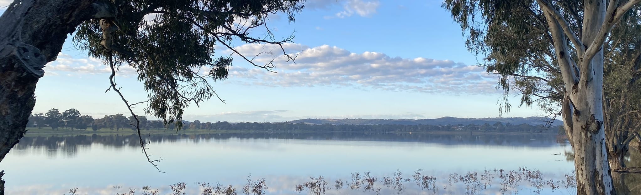 Lake Albert Loop, New South Wales, Australia - 67 Reviews, Map | AllTrails