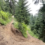 Suntop Trail, Washington - 51 Reviews, Map | AllTrails