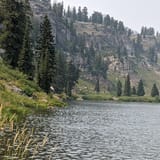 Tony Grove Nature Trail, Utah - 253 Reviews, Map | AllTrails
