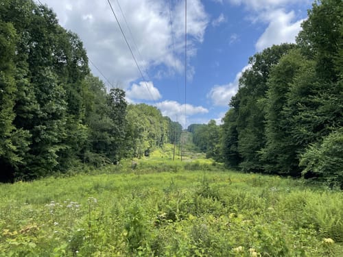 2023 Best 10 Trails and Hikes in Long Valley | AllTrails