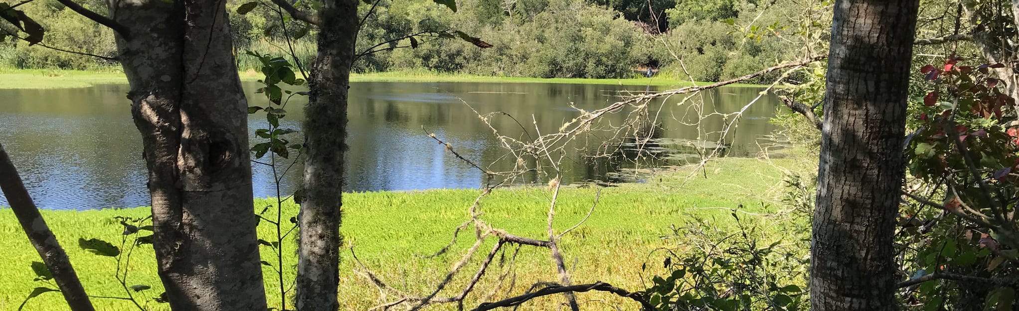 Olema Valley Trail: 191 Reviews, Map - California | AllTrails