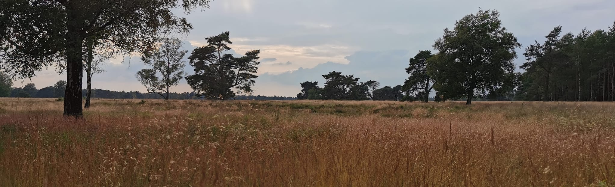 Landgoed Kernhem - Edese Bos - Noord Ginkel: 8 Reviews, Map ...