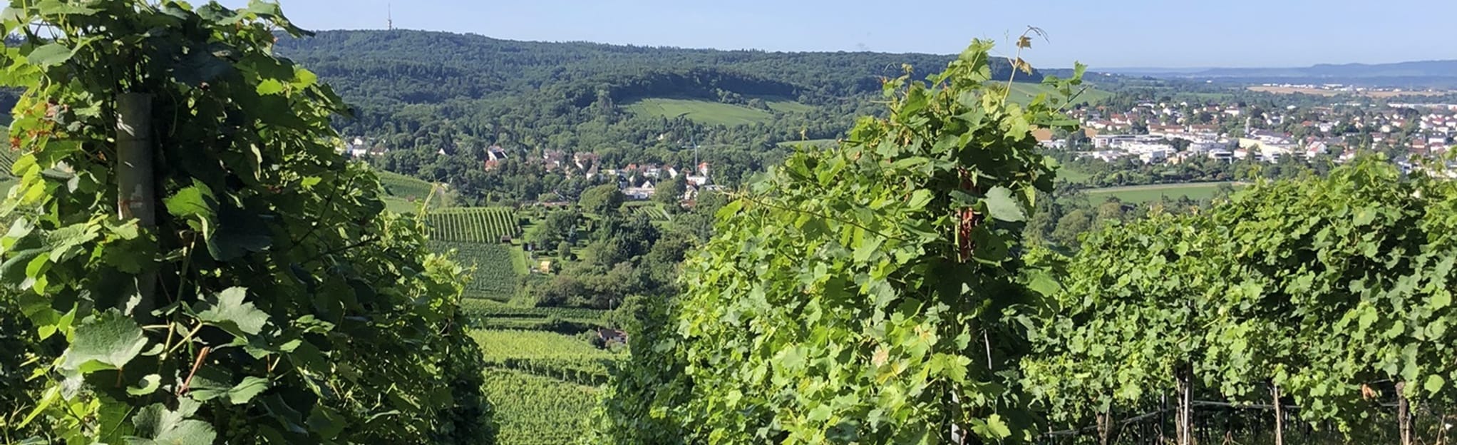 Weinsberg - Heilbronn, Baden-Wuerttemberg, Germany - Map, Guide | AllTrails