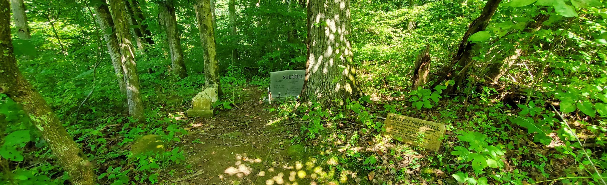 Head of Sequatchie Trail, Tennessee - 75 Reviews, Map | AllTrails