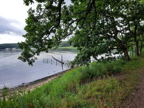 Best Hikes and Trails in Kollund Skov | AllTrails