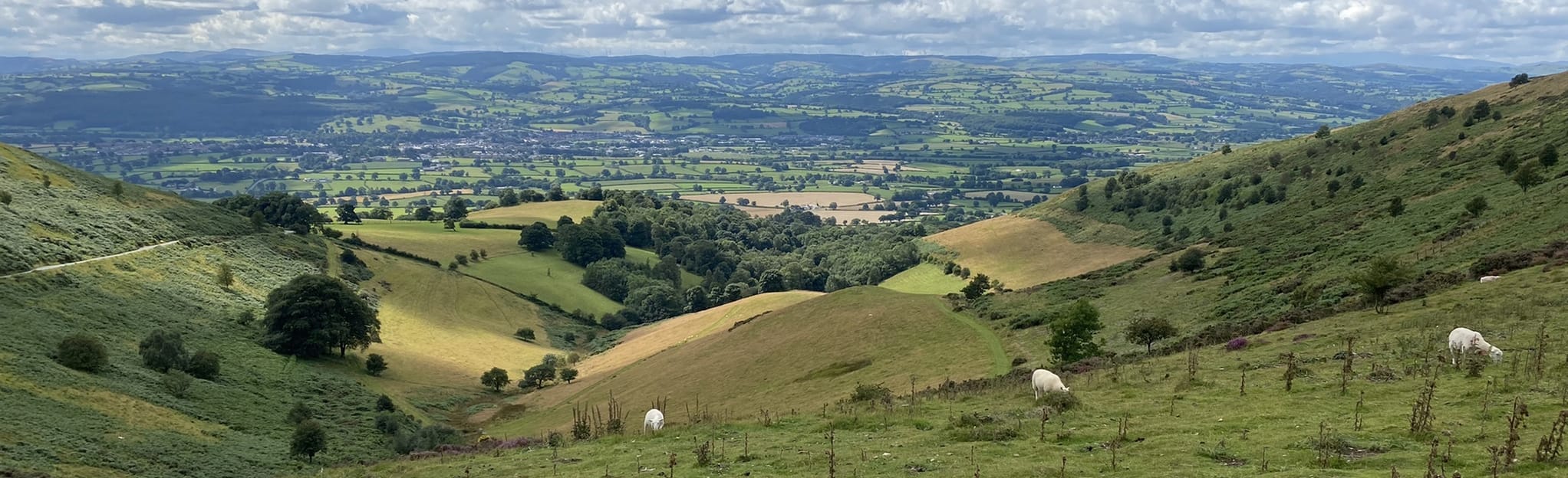 Moel Famau, Denbighshire, Wales - 231 Reviews, Map | AllTrails