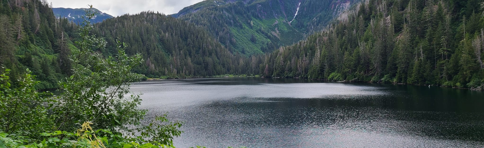 Lower Silvis Lake Trail, Alaska - 85 Reviews, Map | AllTrails