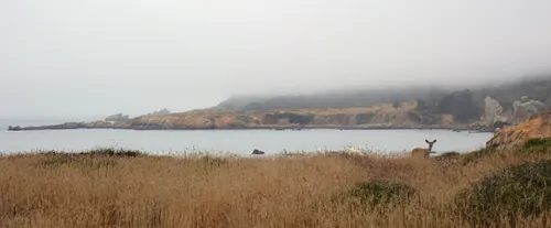 10 Best Hikes and Trails in Salt Point State Park | AllTrails