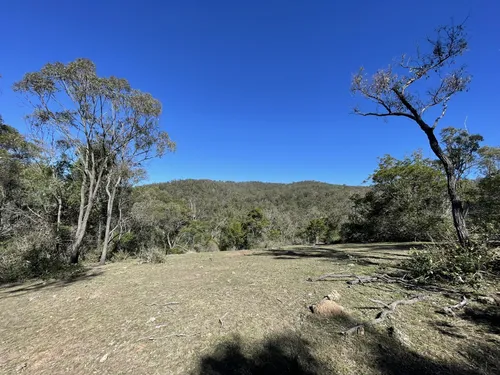 Best Hikes and Trails in Kroombit Tops National Park | AllTrails