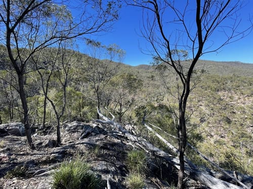 Best Hikes and Trails in Kroombit Tops National Park | AllTrails