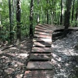 Levis/Trow Mounds Trail, Wisconsin - 268 Reviews, Map | AllTrails