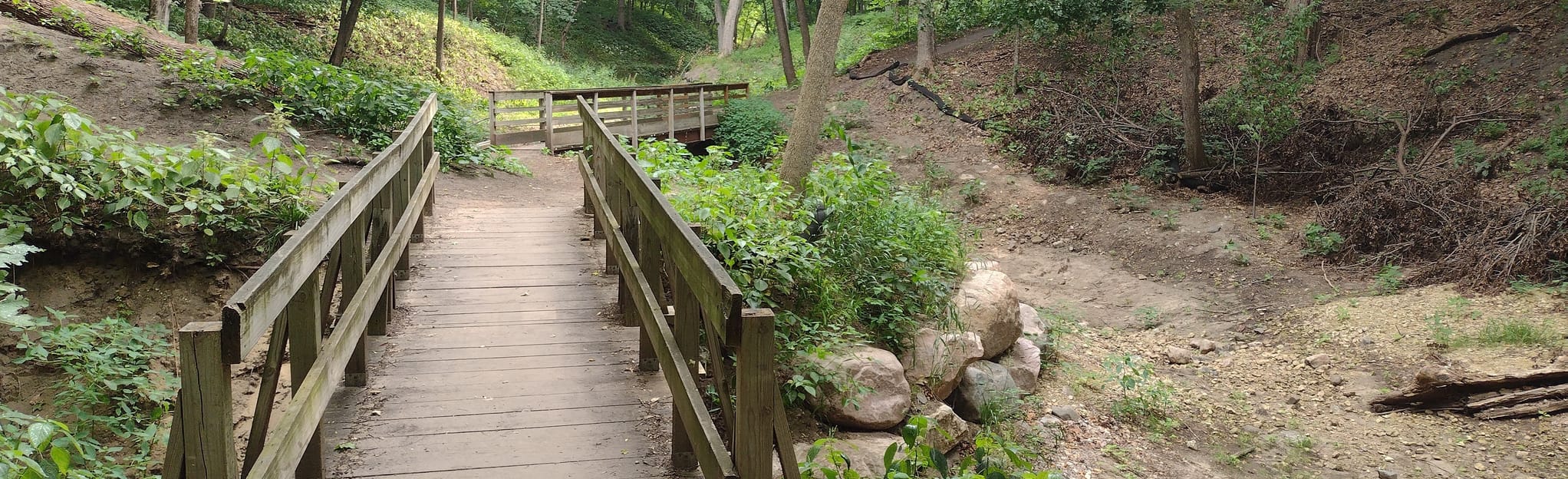 Riley Creek Trail, Minnesota - 247 Reviews, Map | AllTrails