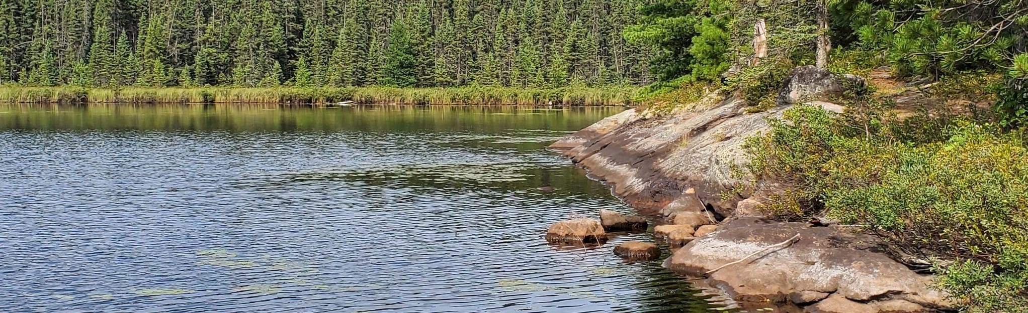 Astrid Lake Trail Loop: 16 foto - Minnesota | AllTrails