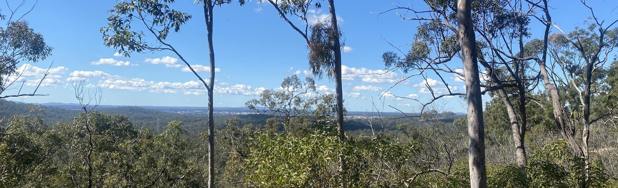 White Rock Ridge Track, Queensland, Australia - 966 Reviews, Map ...