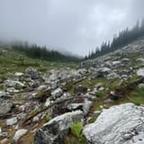 Spider Meadow via Phelps Creek Trail, Washington - 298 Reviews, Map ...