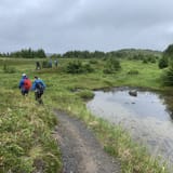 Lost Lake via Primrose Trail, Alaska - 230 Reviews, Map | AllTrails