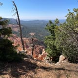 Virgin River Rim Trail, Utah - 132 Reviews, Map | AllTrails
