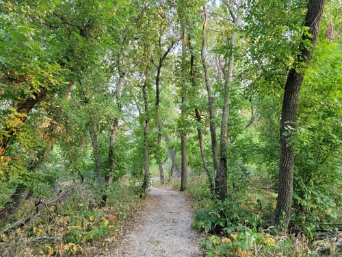 Best Hikes and Trails in Lundar Beach Provincial Park | AllTrails