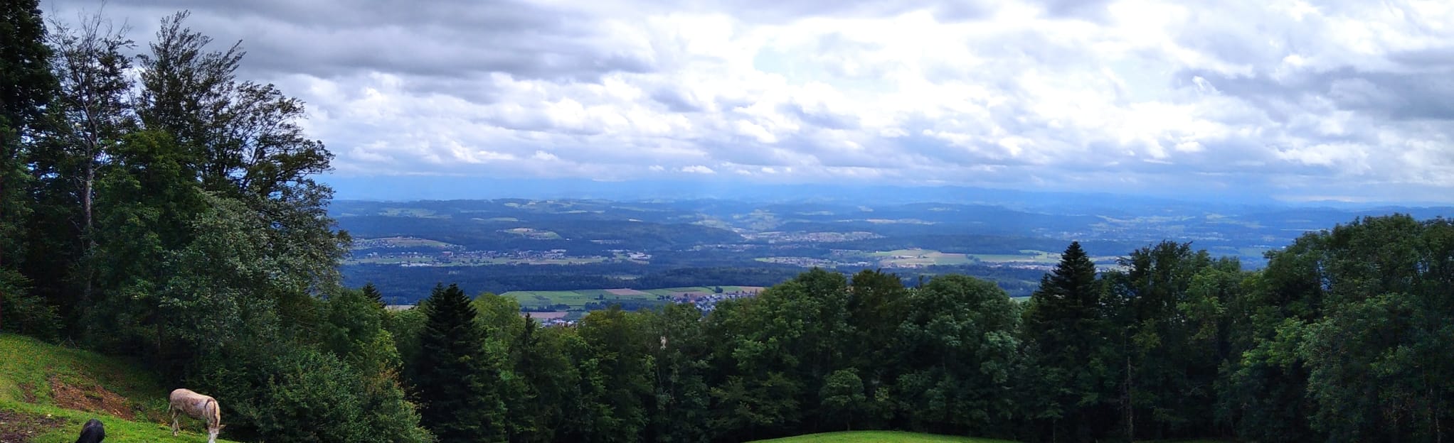 Egerkingen - Fahnen - Höchi Flue: 1 Reviews, Map - Solothurn ...