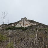 Crespi Trail, California - 242 Reviews, Map | AllTrails