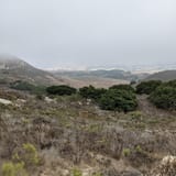 Crespi Trail, California - 242 Reviews, Map | AllTrails