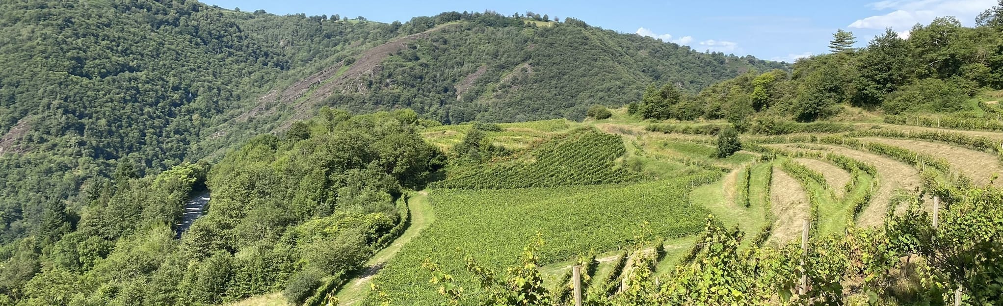 The Conques Vineyard Trail: 4 Reviews, Map - Aveyron, France | AllTrails