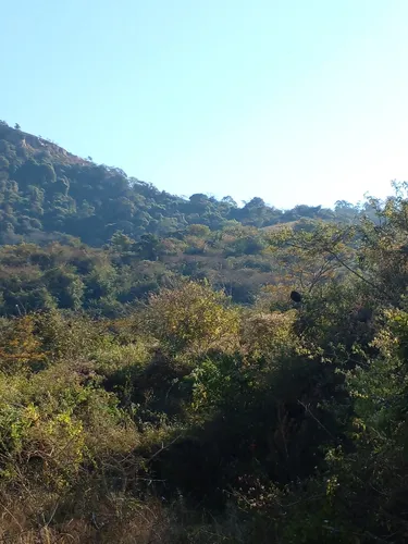 Best Hikes and Trails in Mshazi Skhambane | AllTrails